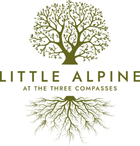 Little Alpine at The Three Compasses, Aldenham